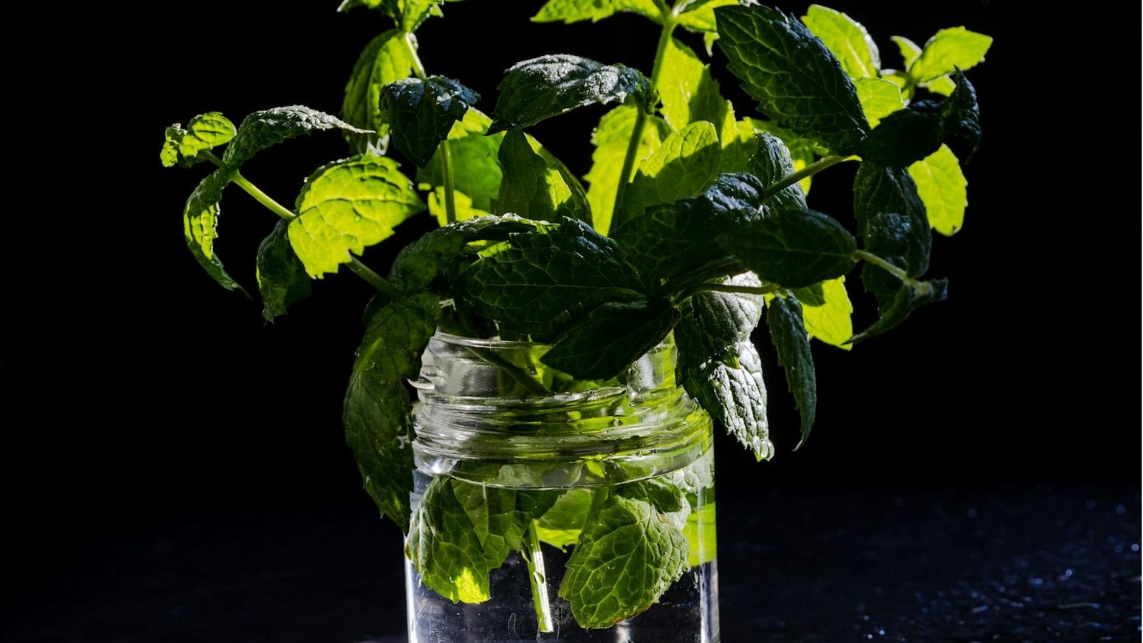 Herbal Infused Water Benefits: How to Naturally Enhance Hydration ...