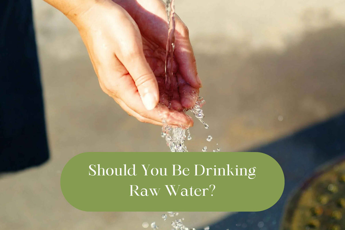 What is Raw Water and Should You Drink it? – CopperWater.com